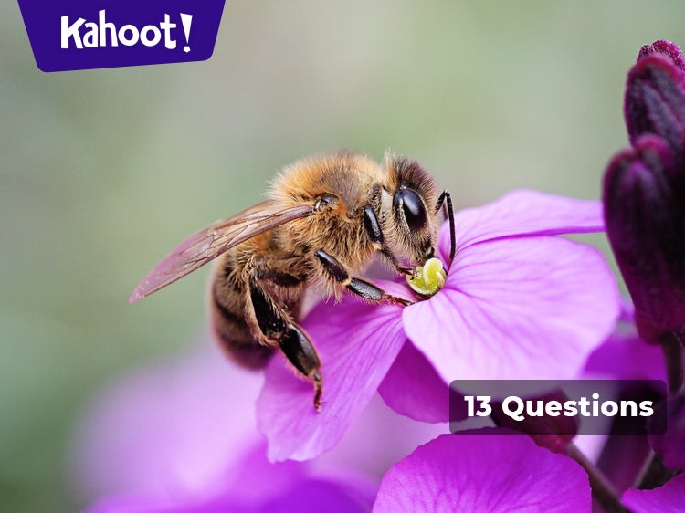 Current Events Term II Week 2 2025 - Kahoot! Quiz