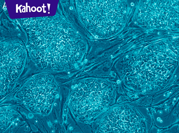 IB Biology: Therapeutic Use of Stem Cells - Kahoot! Quiz