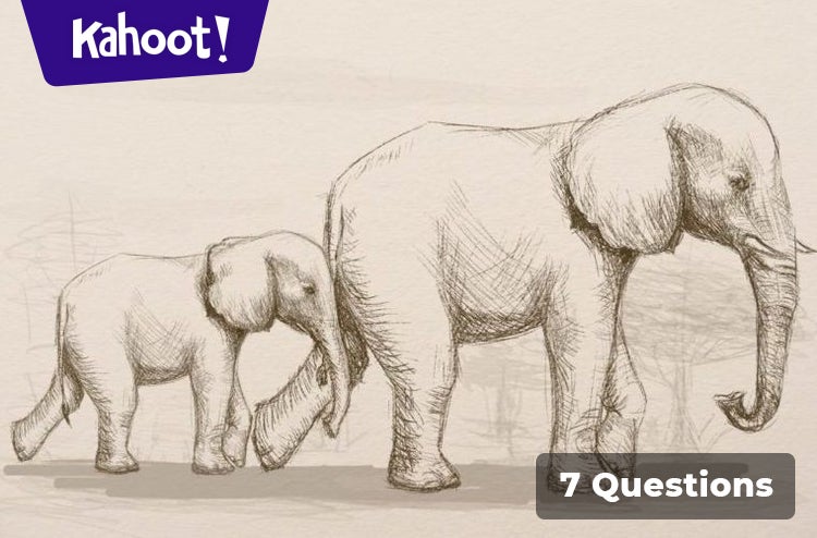 ANIMALS NUMBERS - Kahoot! Quiz