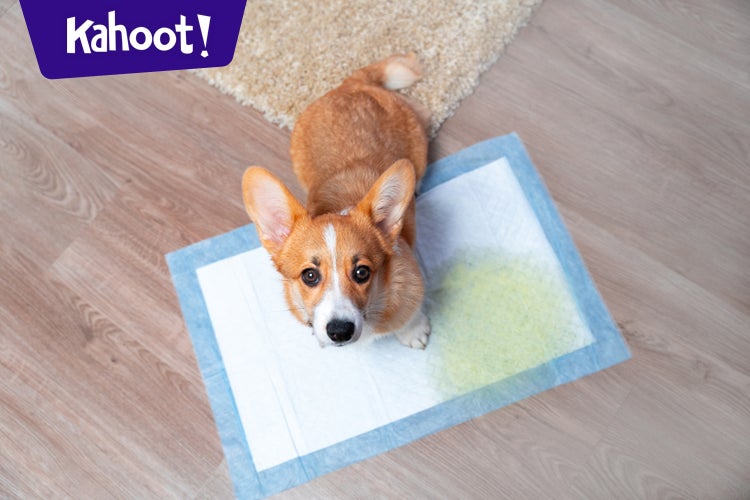 Unit 14: Can Could for abilities, permissions and possibilities - Kahoot! Quiz