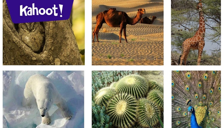 Adaptations & Ecosystems - Kahoot! Quiz
