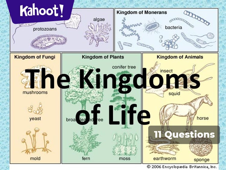 5 Kingdoms, Classifying Organisms in Kingdoms - Kahoot! Quiz