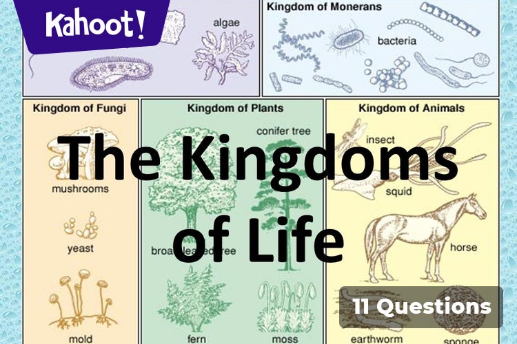 5 Kingdoms, Classifying Organisms in Kingdoms - Kahoot! Quiz