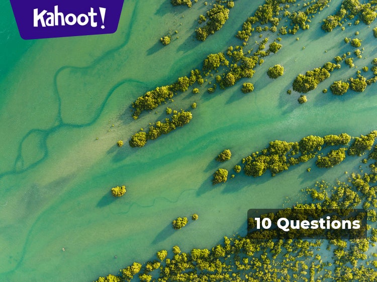 BT5-ENVIRONMENT & NATURAL RESOURCES DEPARTMENT - Kahoot! Quiz