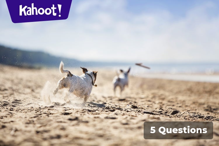 Animal Abilities - Kahoot! Quiz