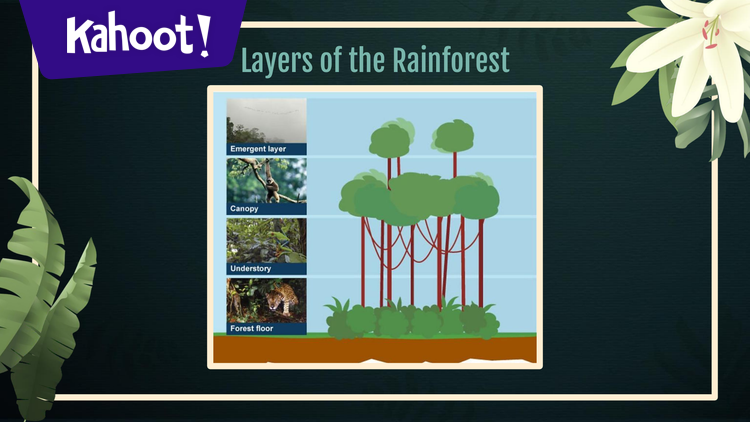 Notes for Amazon Rainforest Ecosystem - Kahoot! Quiz