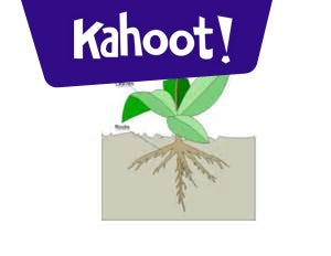 Plants Year 2 - Kahoot! Quiz