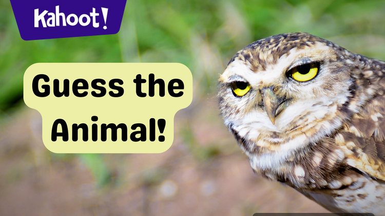 Guess the Animal! Slow-reveal animals for fun. - Kahoot! Quiz