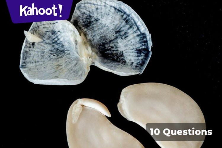 The importance of plant embryos - Kahoot! Quiz
