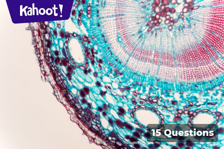 Cell structure 3r - Kahoot! Quiz