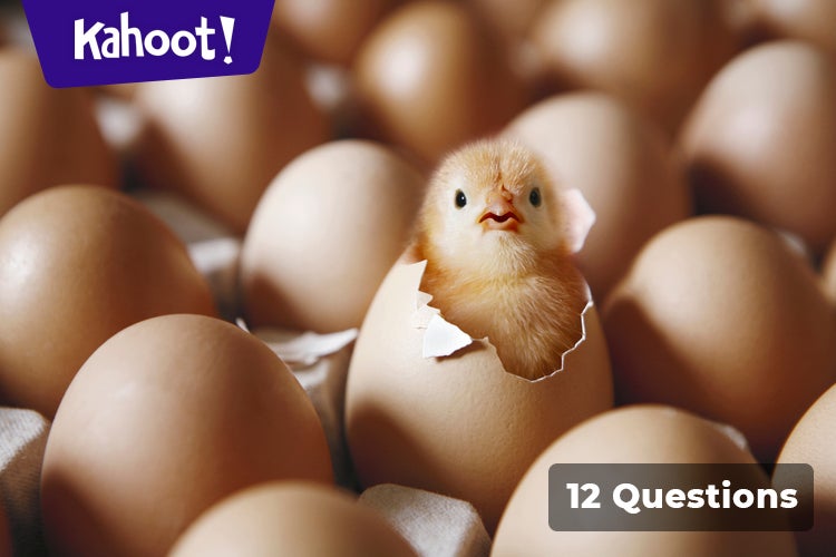 Easter Adjectives Review - Kahoot! Quiz