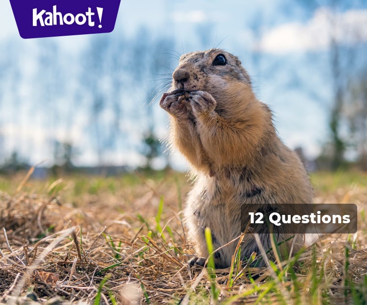 February Rabbit Rabbit - Kahoot! Quiz