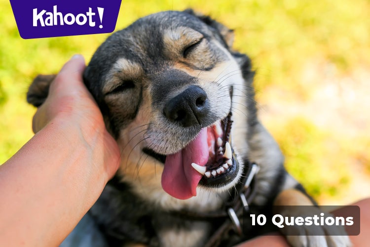 Guess the picture - Kahoot! Quiz