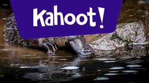 Animals - Kahoot! Quiz