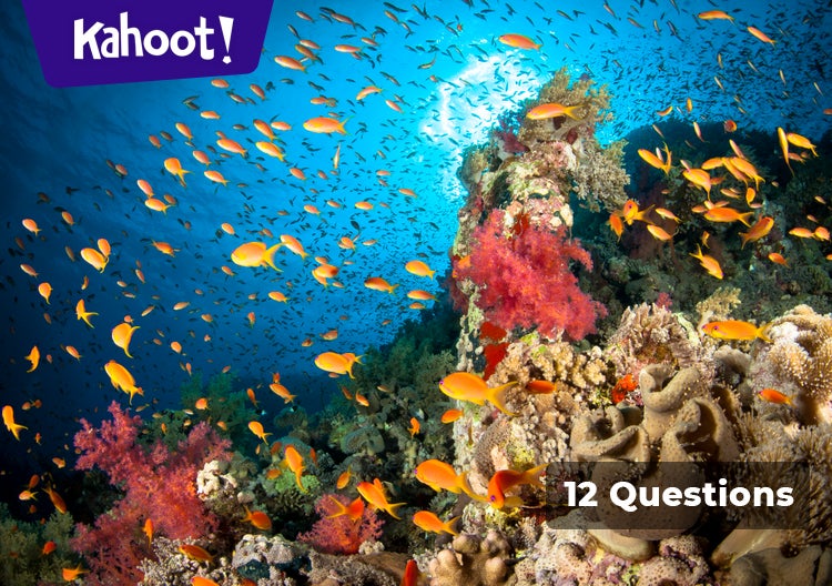 Unit 5 - Review - Kahoot! Quiz