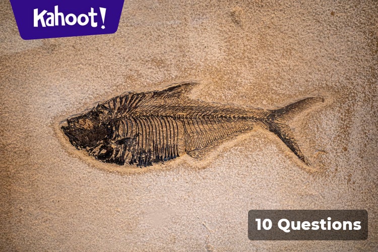 fossils #2 - Kahoot! Quiz