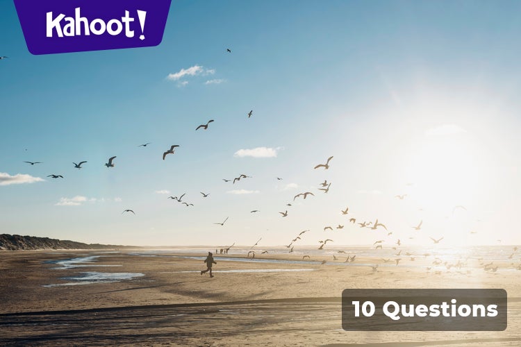 All About the Beach Trivia - Kahoot! Quiz