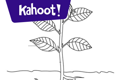Parts of a plant - Kahoot! Quiz