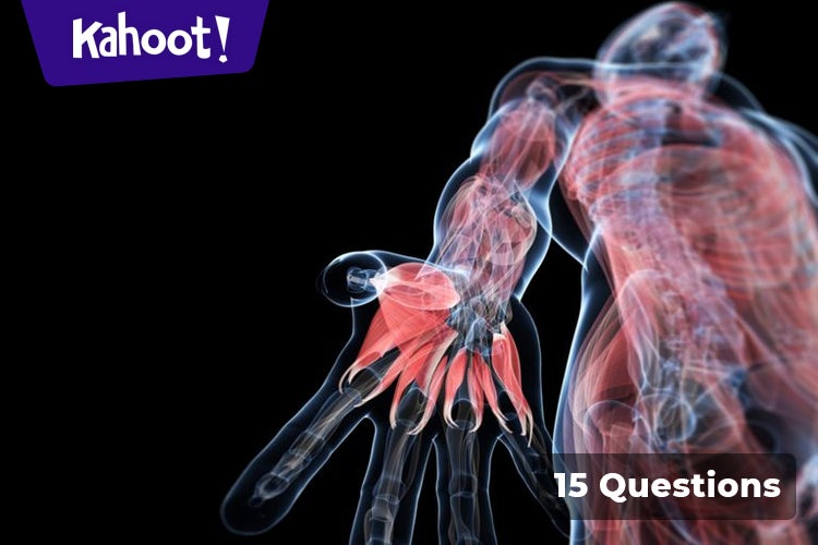Homeostasis + Survival Needs - Kahoot! Quiz