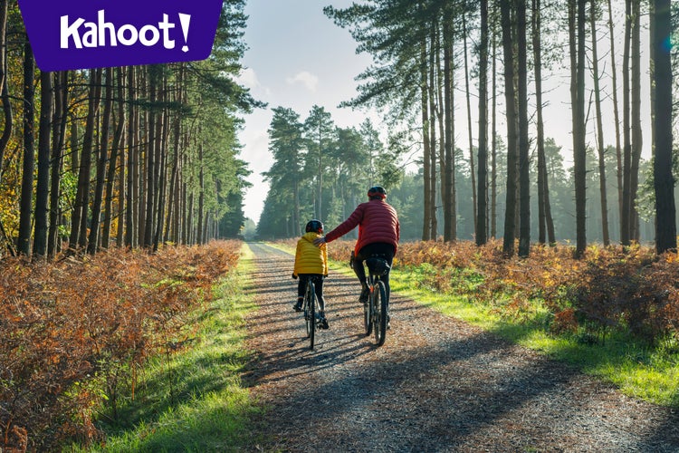 7C Writing Exam 2024 - Des listes - Kahoot! Quiz