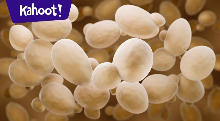 Cell Theory - Kahoot! Quiz