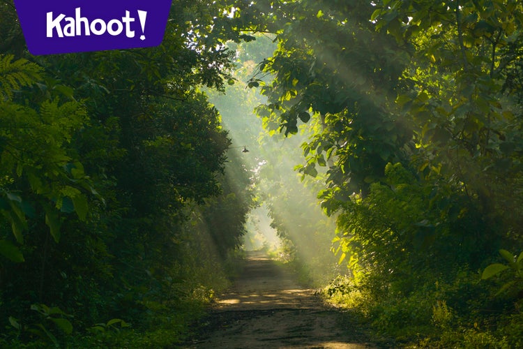 1 green power words - Kahoot! Quiz