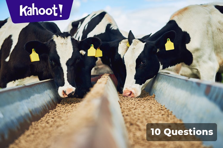 Lesson 2.3 Review - Kahoot! Quiz