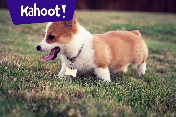 French Introduction to Subjunctive: "WEIRD" vs "Normal" - Kahoot! Quiz