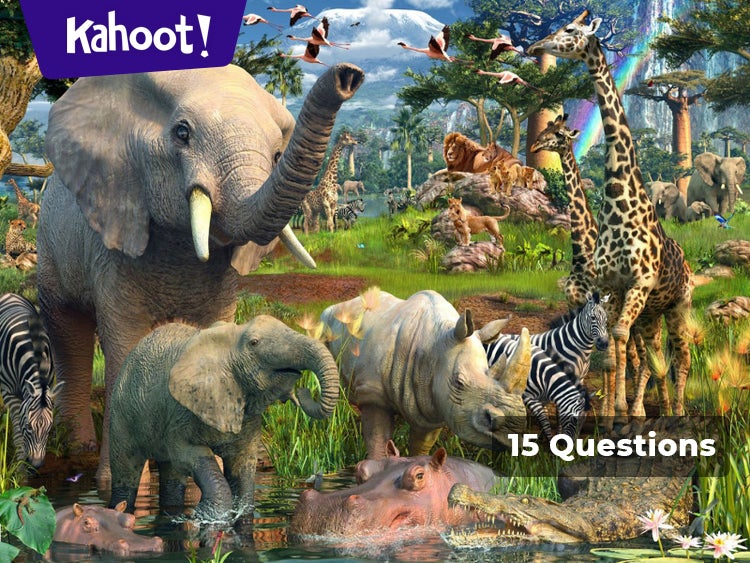 Jungle Animals! - Kahoot! Quiz