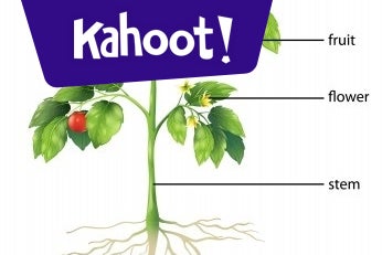 Parts of Plants - Kahoot! Quiz