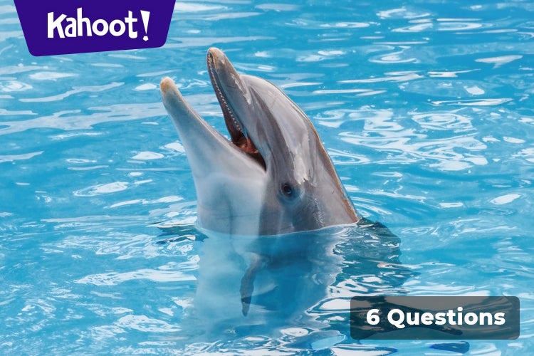 1. VERTEBRATES - Kahoot! Quiz