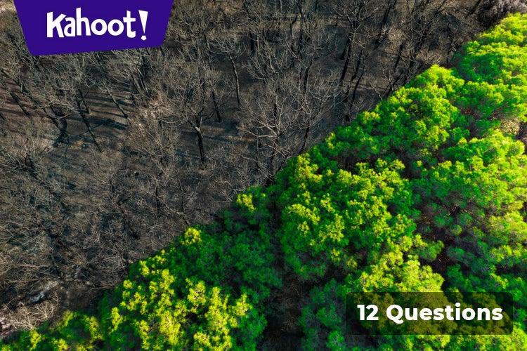 Cause and Effect Quiz - Kahoot! Quiz