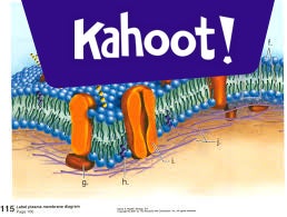 Cell Membrane Structure MF - Kahoot! Quiz