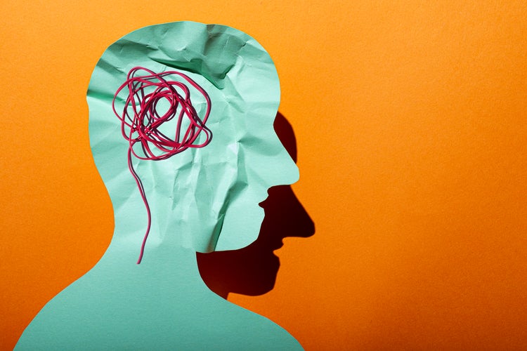 Introduction to the Nervous System - Kahoot! Course