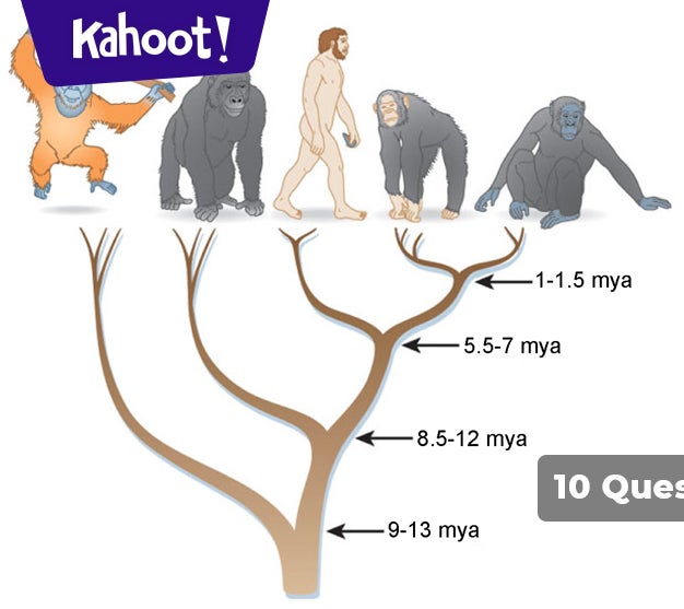 Evolucija primata - Kahoot! Quiz