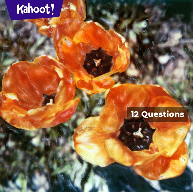 Epsilon Roots & Flowers - Kahoot! Quiz