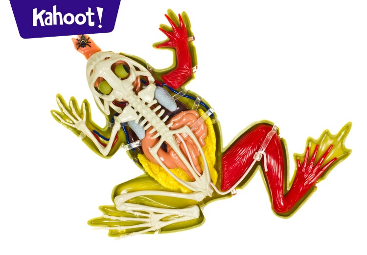 Frog Dissection - Kahoot! Quiz