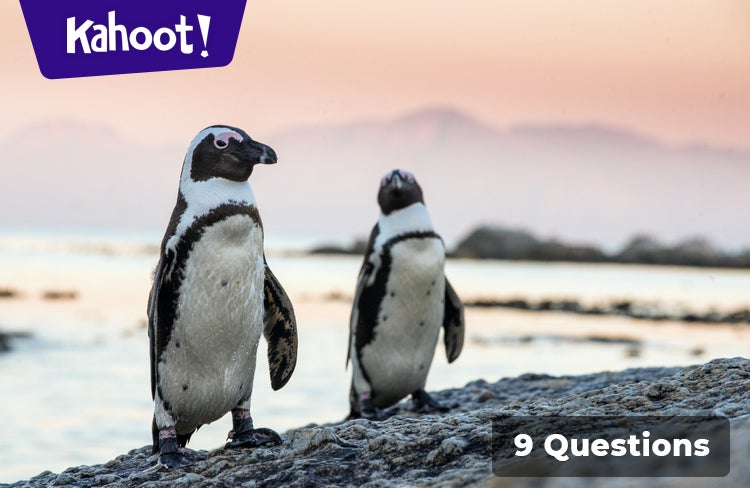 Penguins are getting too hot, the largest telescope, and wildlife ...