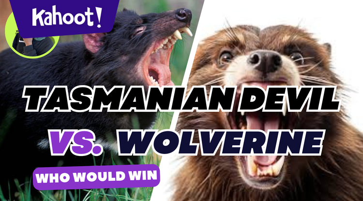 Unraveling the Wolverine | Who would win | Tasmanian Devil VS ...