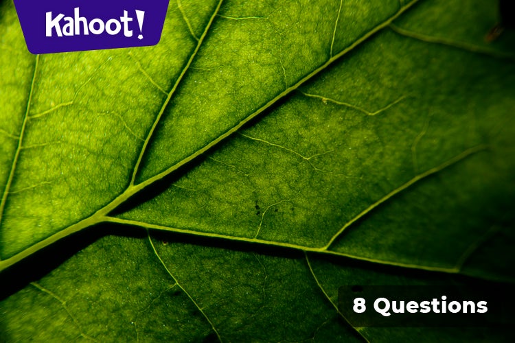 Plants Intro - Kahoot! Quiz