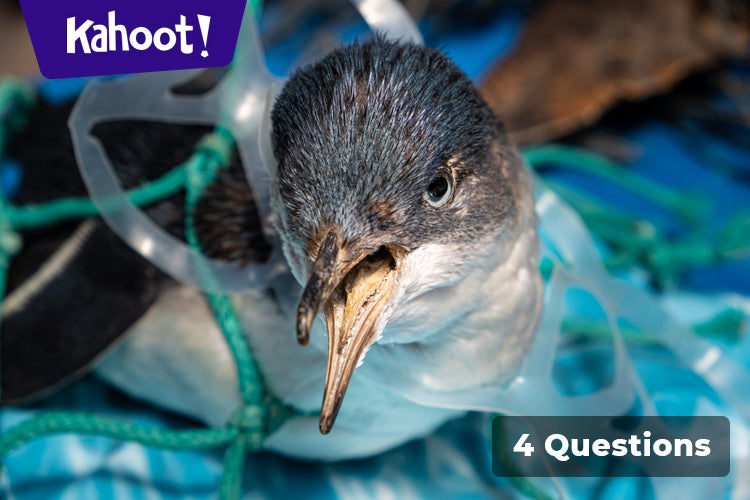 Ocean pollution - Kahoot! Quiz