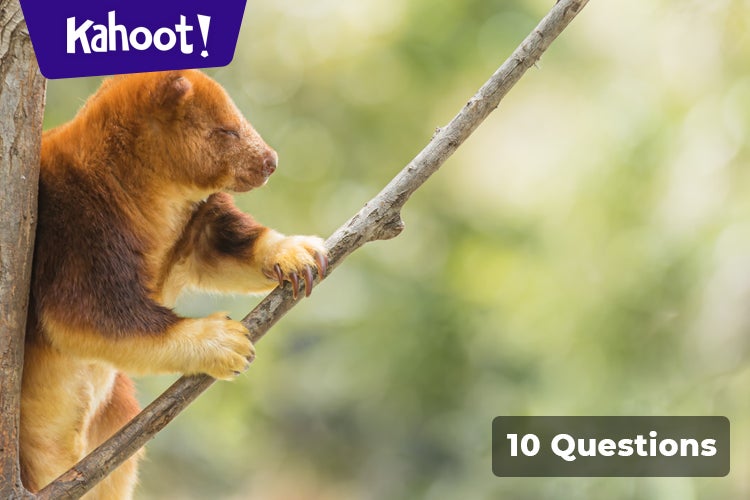 Types of Animals Trivia - Kahoot! Quiz