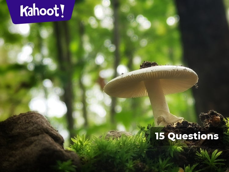 Ecology: Ecosystems & Food Chains - Kahoot! Quiz