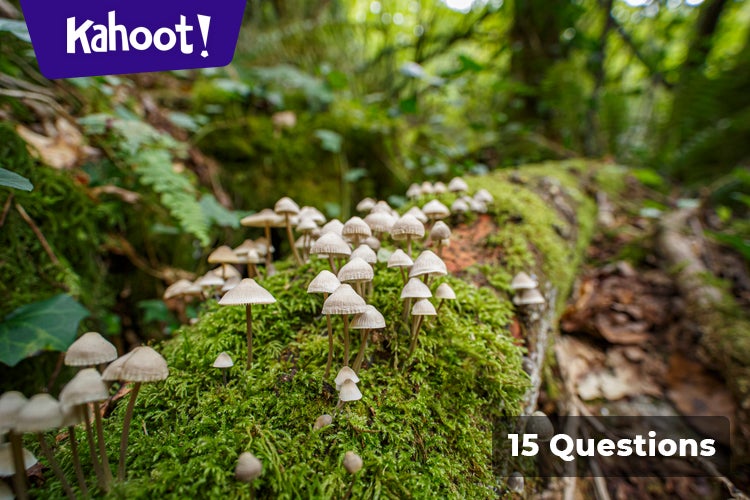 Biodiversity and It's Conservation | Grade 12 - Kahoot! Quiz