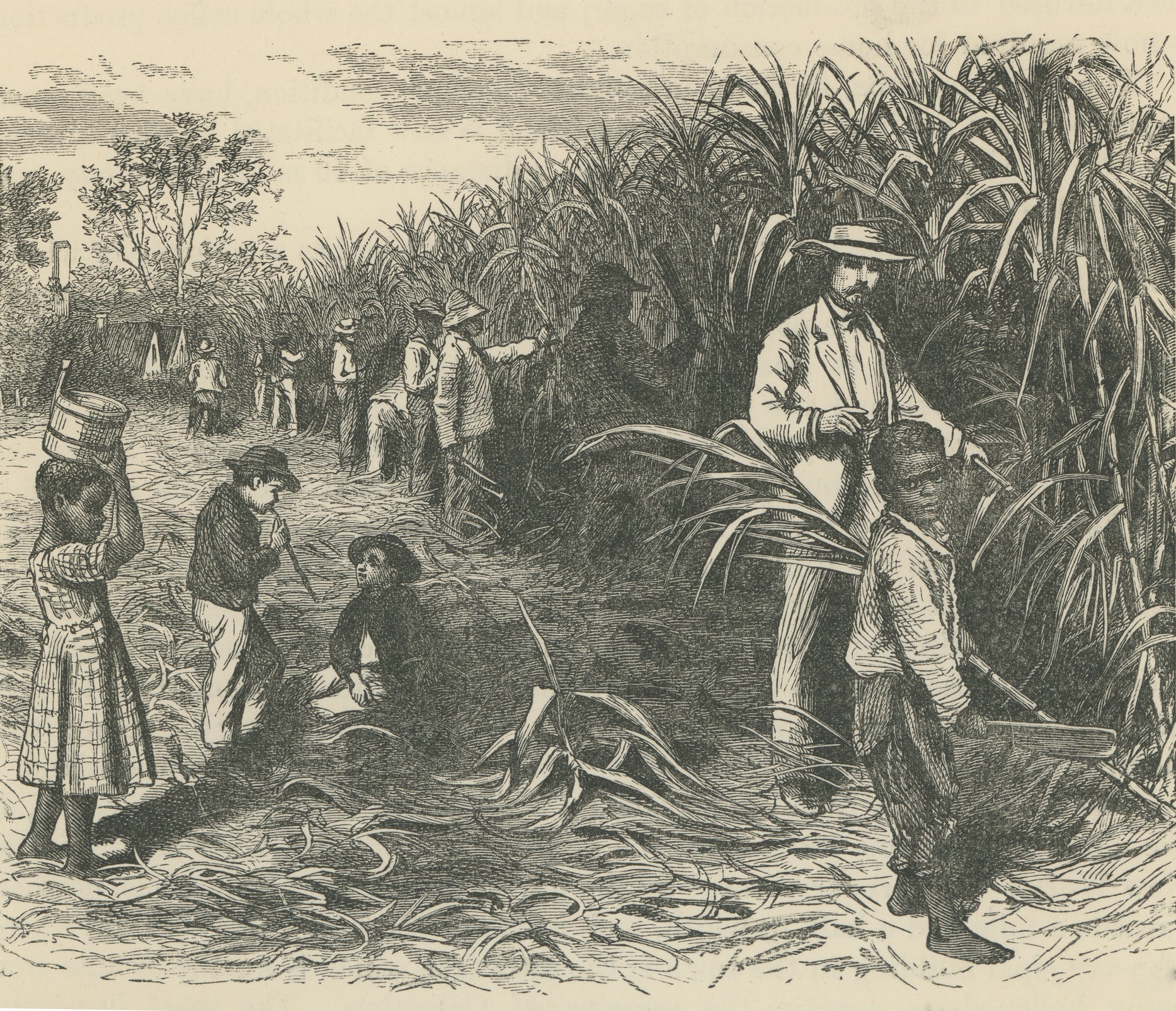 Unit 4: Final Exam Review - Kahoot! Quiz