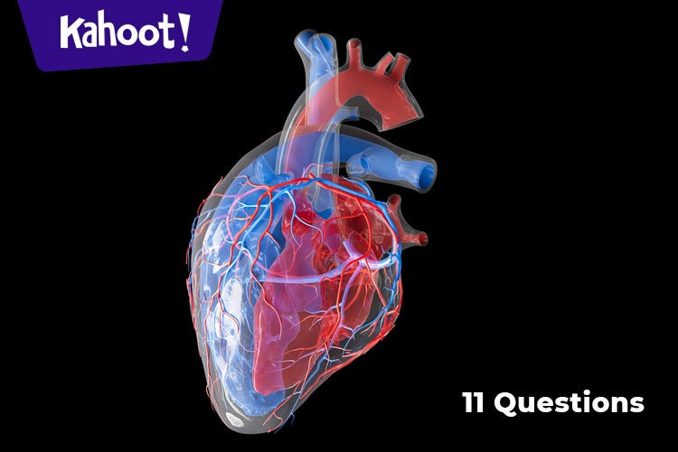 The Human Heart - Kahoot! Quiz