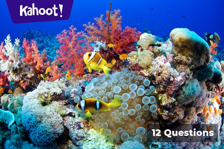 Biodiversity - Kahoot! Quiz