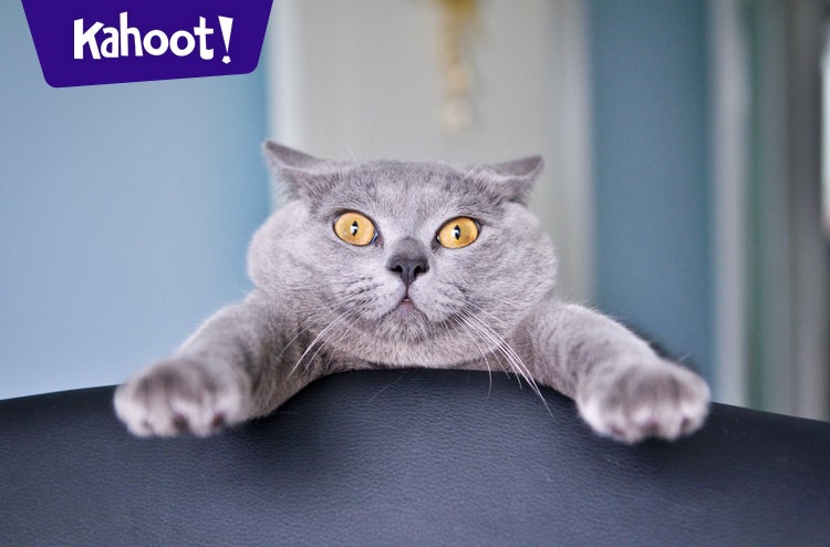 World History Final Review - Kahoot! Quiz