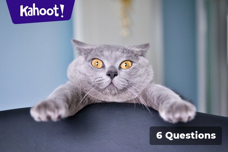 Why is being scared so fun? - Kahoot! Quiz