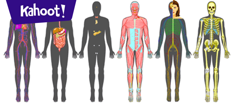 Medical Terminology Review Unit 1-5: Game 1 - Kahoot! Quiz